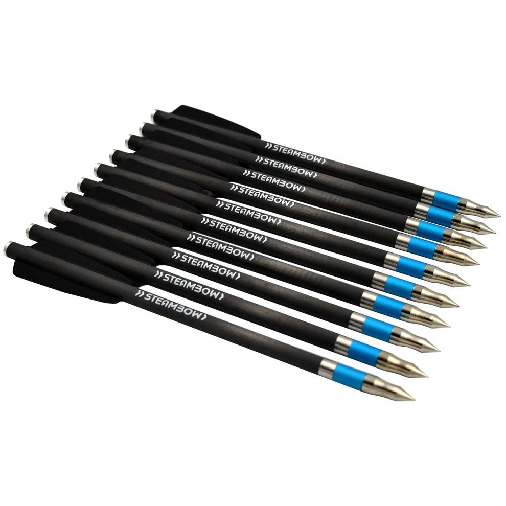 Steambow AR-Series Heavy Carbon Target Arrows, Set of 10 | Buy in ...