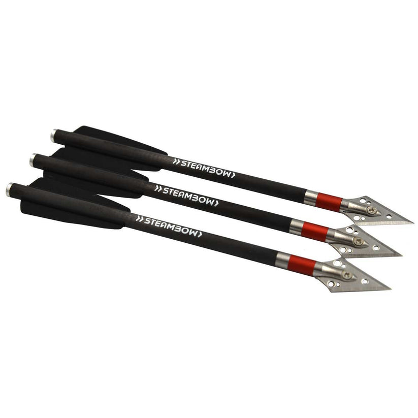 Steam AR-Series Heavy Carbon Broadhead Arrows, Set of 3 » Tenda Canada